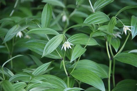 김장훈 정원사 Janghunkim 작가 베러가드닝 대표 저 식물이 저기서 계속 건강하게 살 수 있을까 하는 의문을 들게 한다면 정원사는 아직 노력해야할