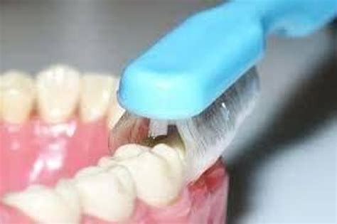 The Collis Curve Toothbrush Buy The Collis Curve Toothbrush Online In