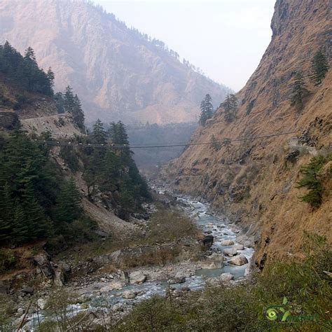 Ecosystem Restoration And Riparian Buffer Zones Verdant Visionaries