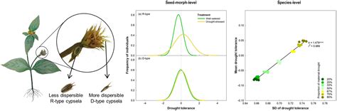 Journal Of Ecology Vol 112 No 7