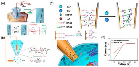 Recent Advances In Nanopore Technology For Copper Detection And Their