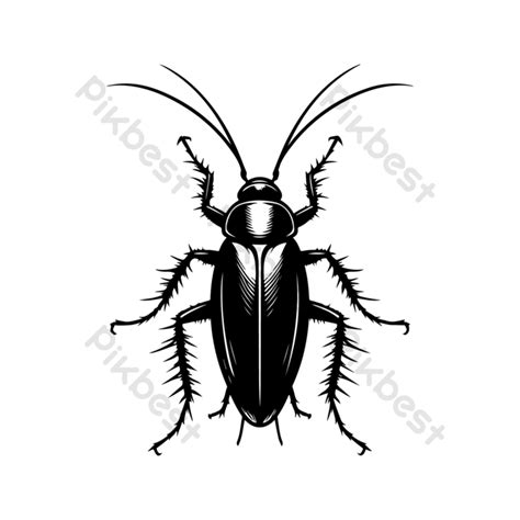 Black Cockroach Outline On White Vector Image Png Images Eps Free