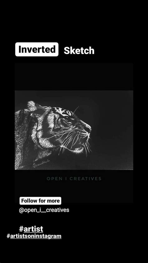 invert sketching tiger drawing artister mor