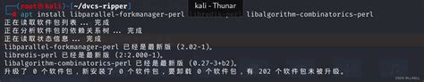 Svn泄露（ctfhub）svn代码泄漏 Csdn博客