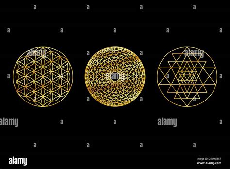 Sacred Geometry Gold Symbols On Black Background Sri Yantra Flower Of