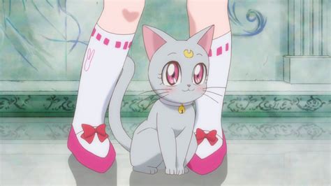 Diana Sailor Moon The Parody Wiki Fandom Powered By Wikia