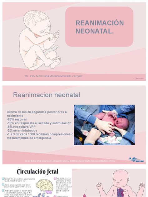 Reanimacion Neonatal Pdf Reanimación Cardiopulmonar Parto