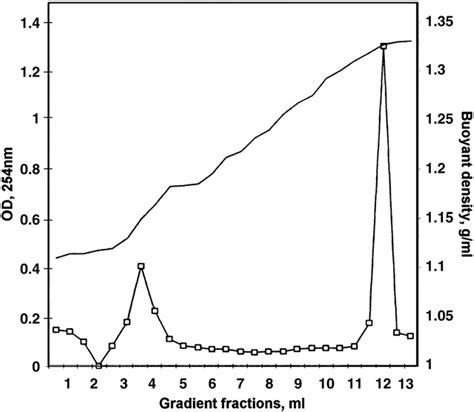 Isopycnic Centrifugation Of Tlev In Cscl Density Gradient The Gradient