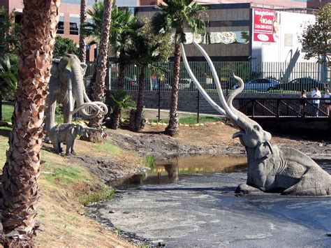 La Brea Tar Pits Explorer Field Trips