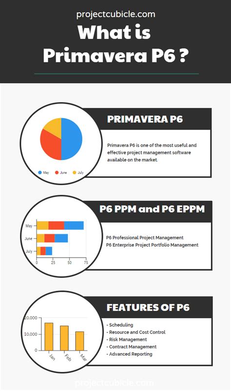 Databases Planning And Control Using Oracle Primavera P6 Versions 8 To
