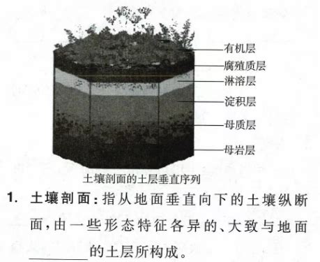 百度教育