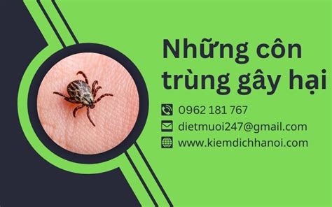 20 Loại Côn Trùng Có Hại Phổ Biến And Cách Diệt Trừ Hiệu Quả