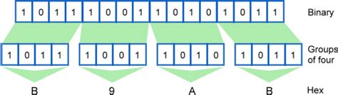 Coa Number Base