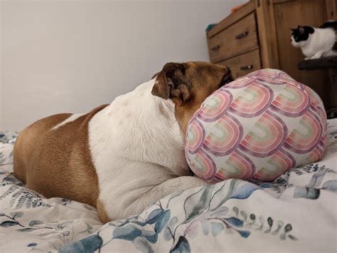 She Gets To 830pm And Cant Hold Her Head Up Any Longer It Just So