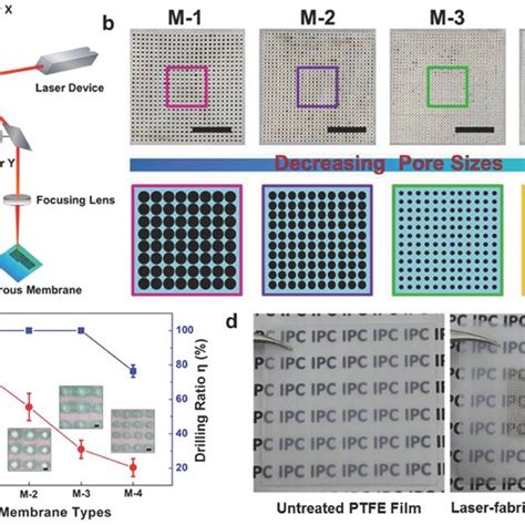 Surface Morphology Of The Laser‐fabricated Ptfe Microporous Membranes