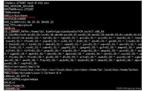 冰冰学习笔记：初识环境变量 Csdn博客