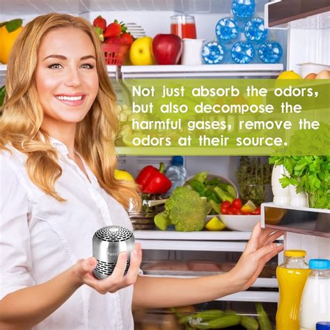 Refrigerator Deodorizer Review Korean Cooking