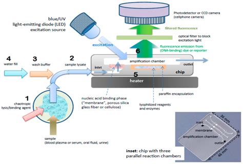 Biosensors Free Full Text Simple Approaches To Minimally Instrumented Microfluidic Based