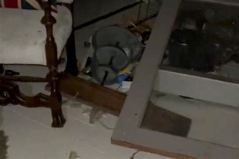 Thousands Left Without Power After 64 Magnitude Earthquake In Northern