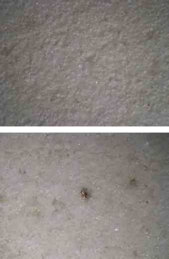 Optical Micrographs A Highly Dense Structure Of The Firebrick M Download Scientific Diagram