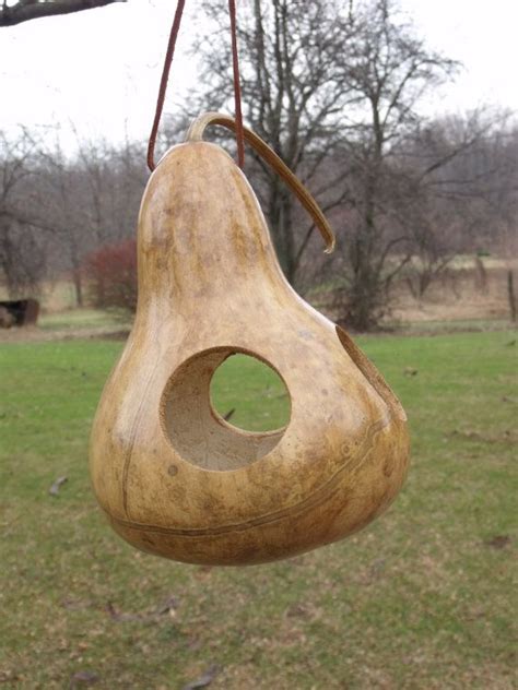 Natural Gourd Bird Feeder Etsy Bird Feeders Gourds Bird