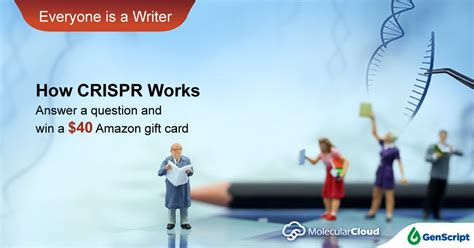 Genscript How To Perform A Crispr Knockout Experiment