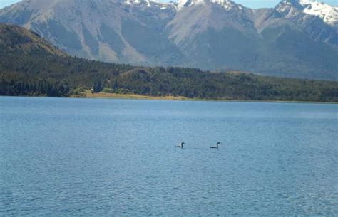 Cholila En Cholila 3 Opiniones Y 2 Fotos