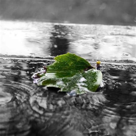 厚衣服不要急着收！乐清接下去的天气雨水气温最低温