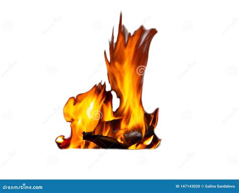 Fuoco Della Fiamma Fatto Della Fine Della Legna Da Ardere Su Isolata Su