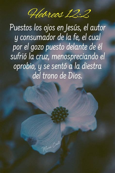 Hebreos 122 Versículodeldía Versículosbíblicos Textos