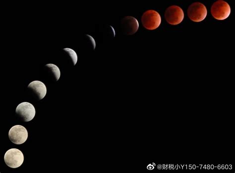 【天狗食月，就在今晚】 哔哩哔哩