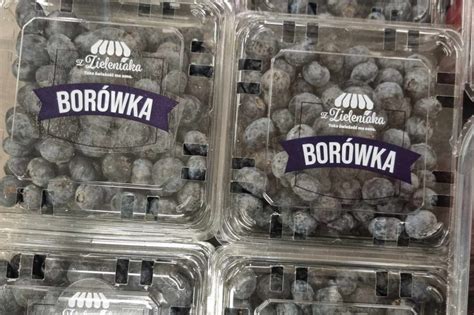 Ile kosztują borówki w polskich supermarketach Podaż jest spora ale ceny w rozstrzale