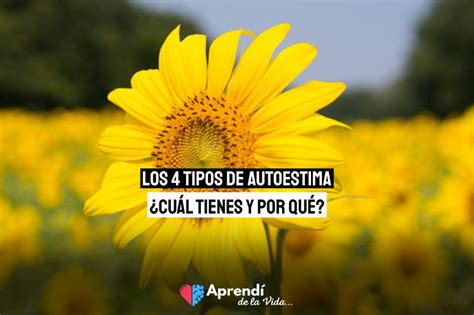 4 Tipos De Autoestima Muy Diferentes ¿cuál Tienes Y Por Qué