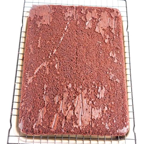 Big Cake Rectangular 70 Rectangle Cake Ideas Cake Cupcake Cakes Sheet