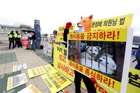 개식용 금지 법안 국회 통과 촉구 뉴시스pic 파이낸셜뉴스