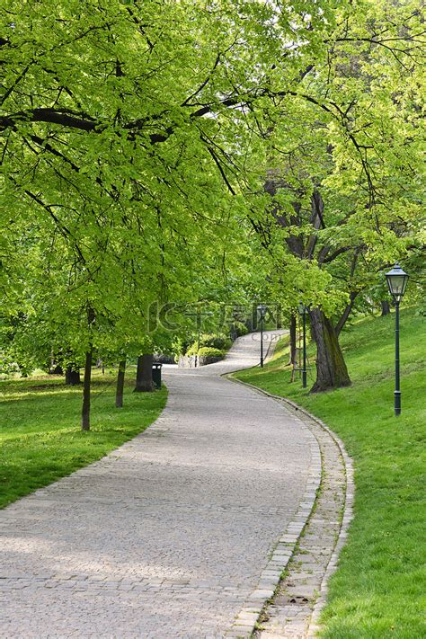 美丽的绿色春天公园。高清摄影大图 千库网