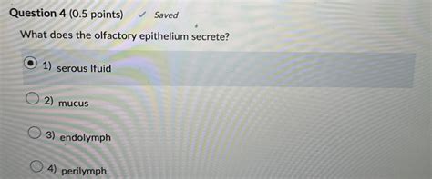 solved question 4 0 5 ﻿points ﻿savedwhat does the