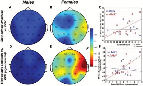 Raven Colored Progressive Matrices Psychophysiology And Chronobiology Research Group