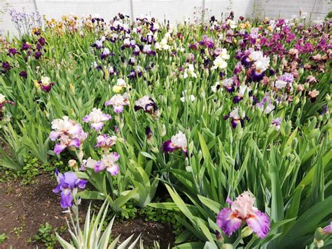 Новият терен Page 118 Форум