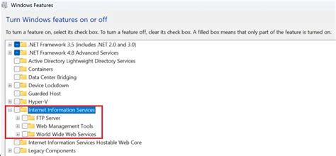 A Step By Step Guide To Setting Up IIS In Windows DEV Community