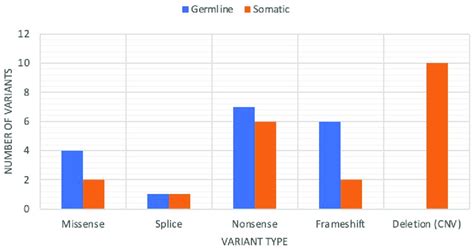 Distribution Of Variant Type Based On Variant Origin Large Full Gene