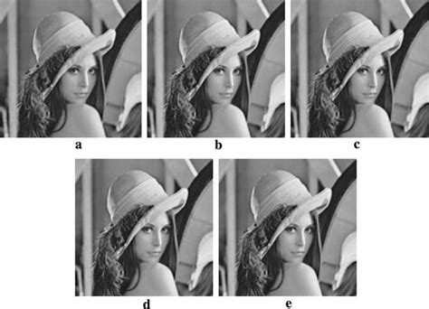 advances on image interpolation based on ant colony algorithm