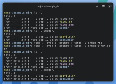 How To Use Chmod Recursive To Change File Permissions On Linux And MacOS