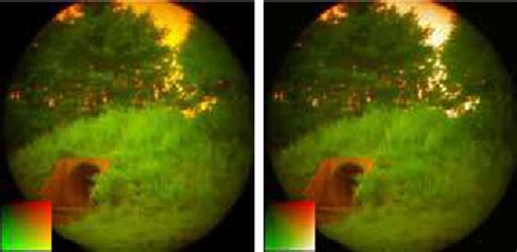 Lookup Table Based Color Remapping Applied To A Dual Band Visual A