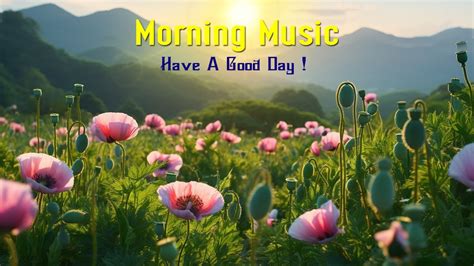 Beautiful Morning Music Boost Positive Energy Peaceful Piano Music
