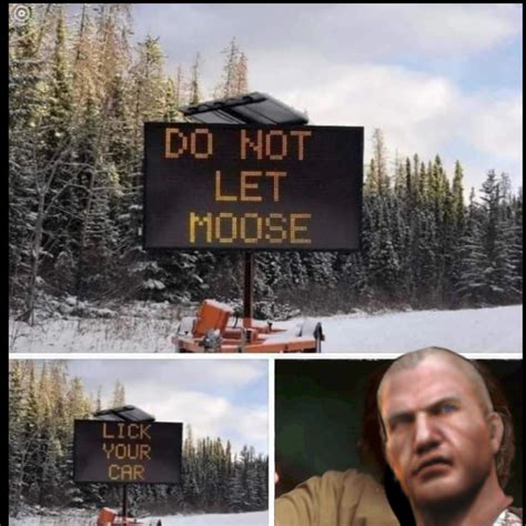 Wtf Moose R Splintercell