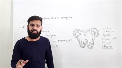 Microsporogenesis And Megasporogenesis Youtube