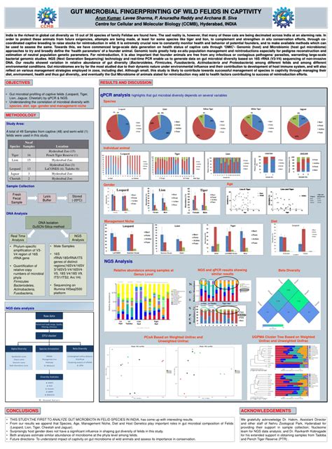 Pdf Gut Microbial Fingerprinting Of Wild Felids In Captivity