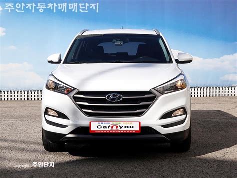 현대 올뉴투싼 디젤 17 2wd 모던 중고차 서울특별시 강서구 등촌동 비즈프로필