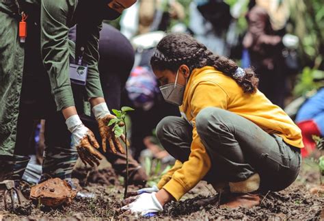 Impacto Socioambiental O Que é E Como Fazer Sua Parte
